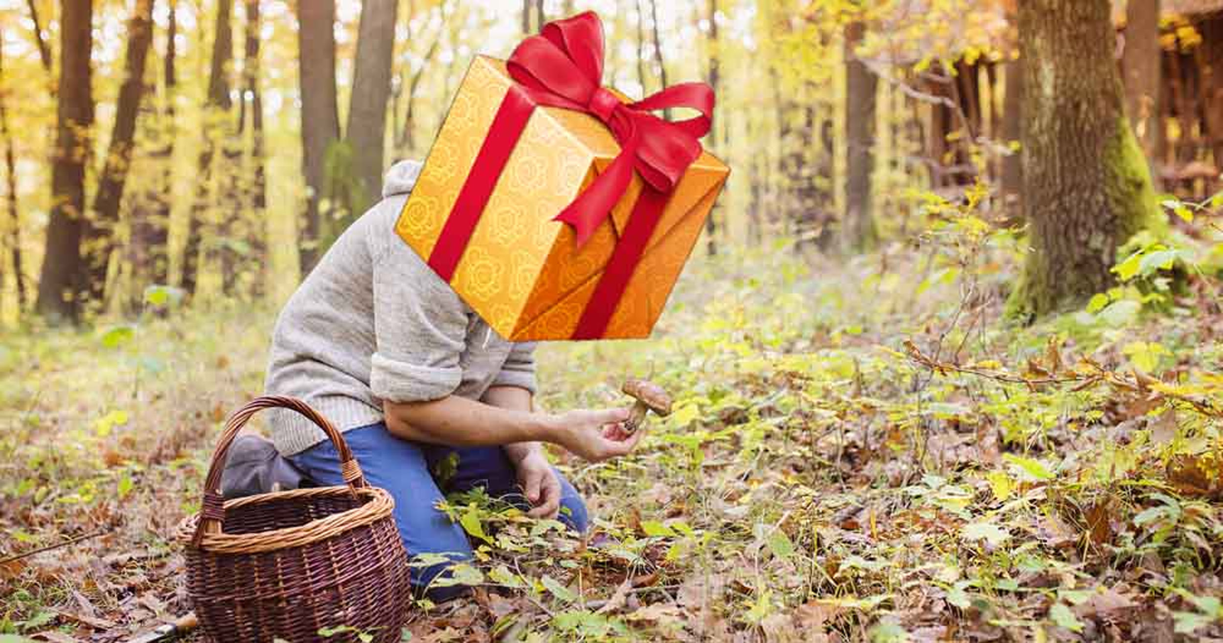 Gift For Mushroom Lovers - MushroomStalkers